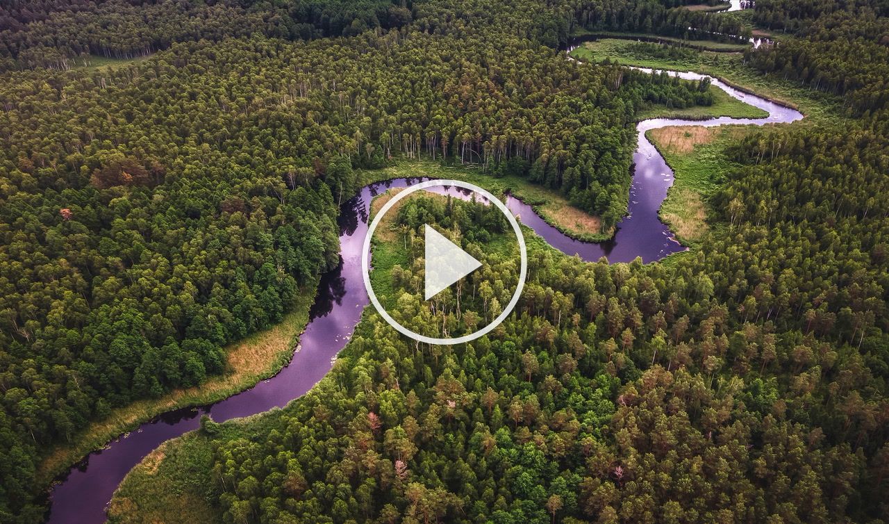 Amazon nations launch alliance to protect rainforest