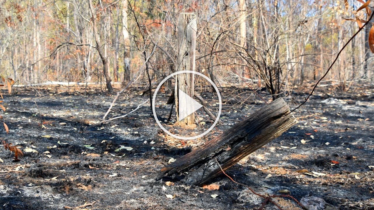 Australian firefighters use AI to fight bushfires