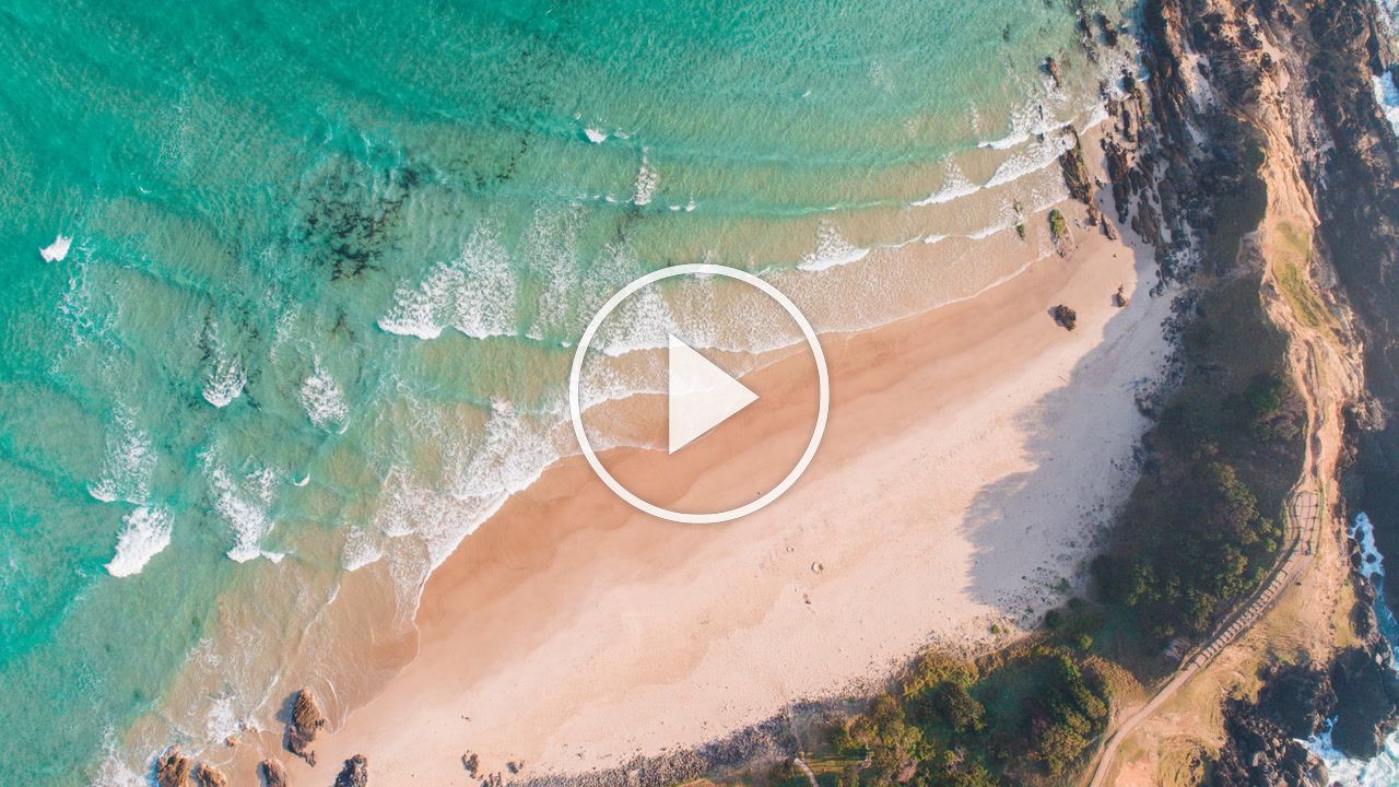 Bait ball off Byron Bay draws hundreds of sharks close to shore