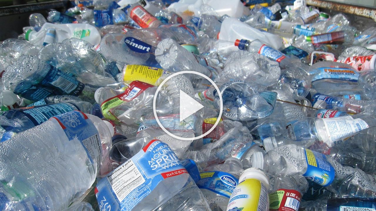 Beach backpacker party leaves huge mess at Coogee