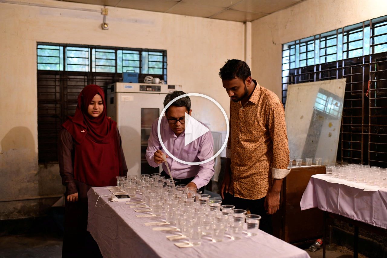 Climate change drives Bangladesh's worst dengue outbreak Climate change drives Bangladesh's worst dengue outbreak