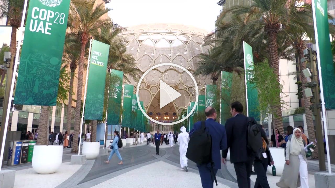 Explained: Who is pushing for a fossil fuel phase-out at COP28?