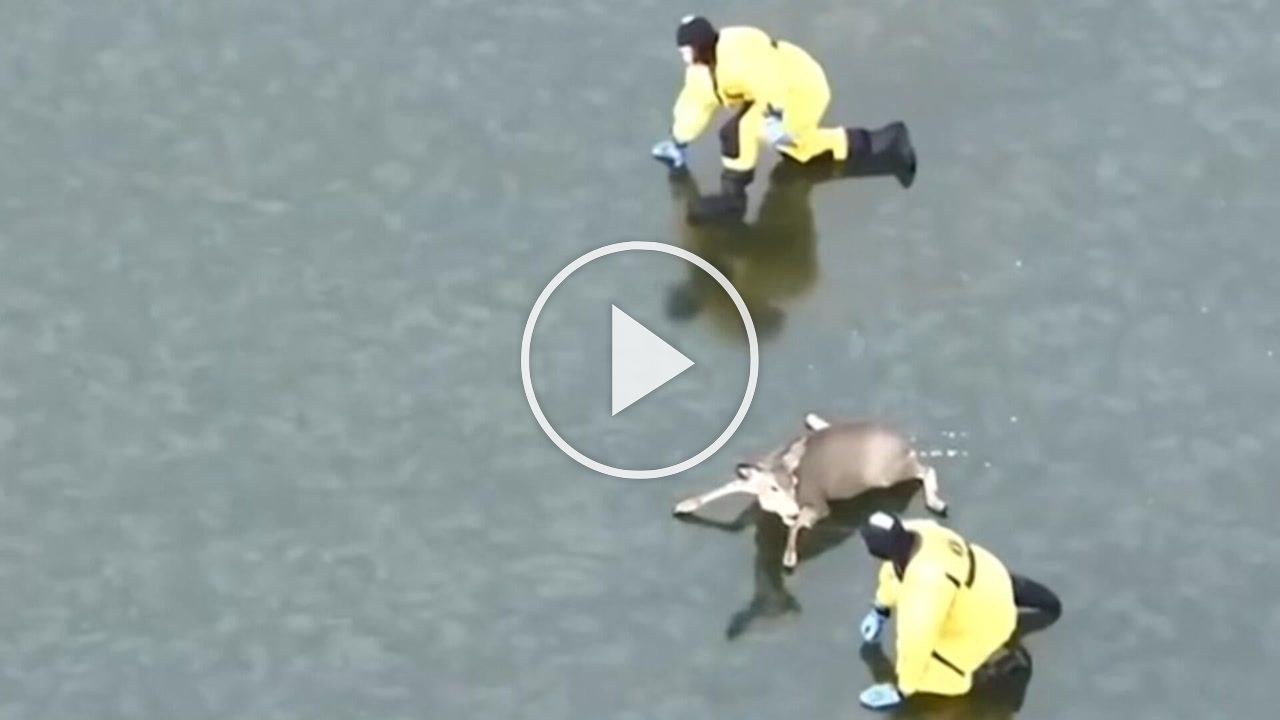 Good Samaritans helping others around the country