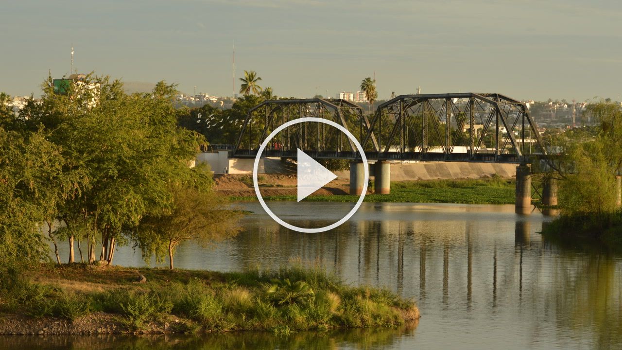 Mexico’s Sinaloa cartel war displaces thousands