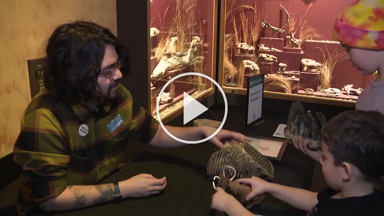 Milwaukee Public Museum offers hands-on learning during winter break