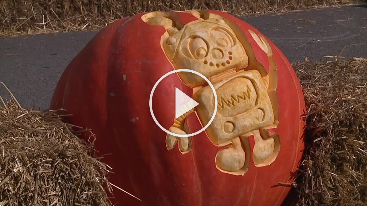 More than 60K expected at Operation Pumpkin in Hamilton