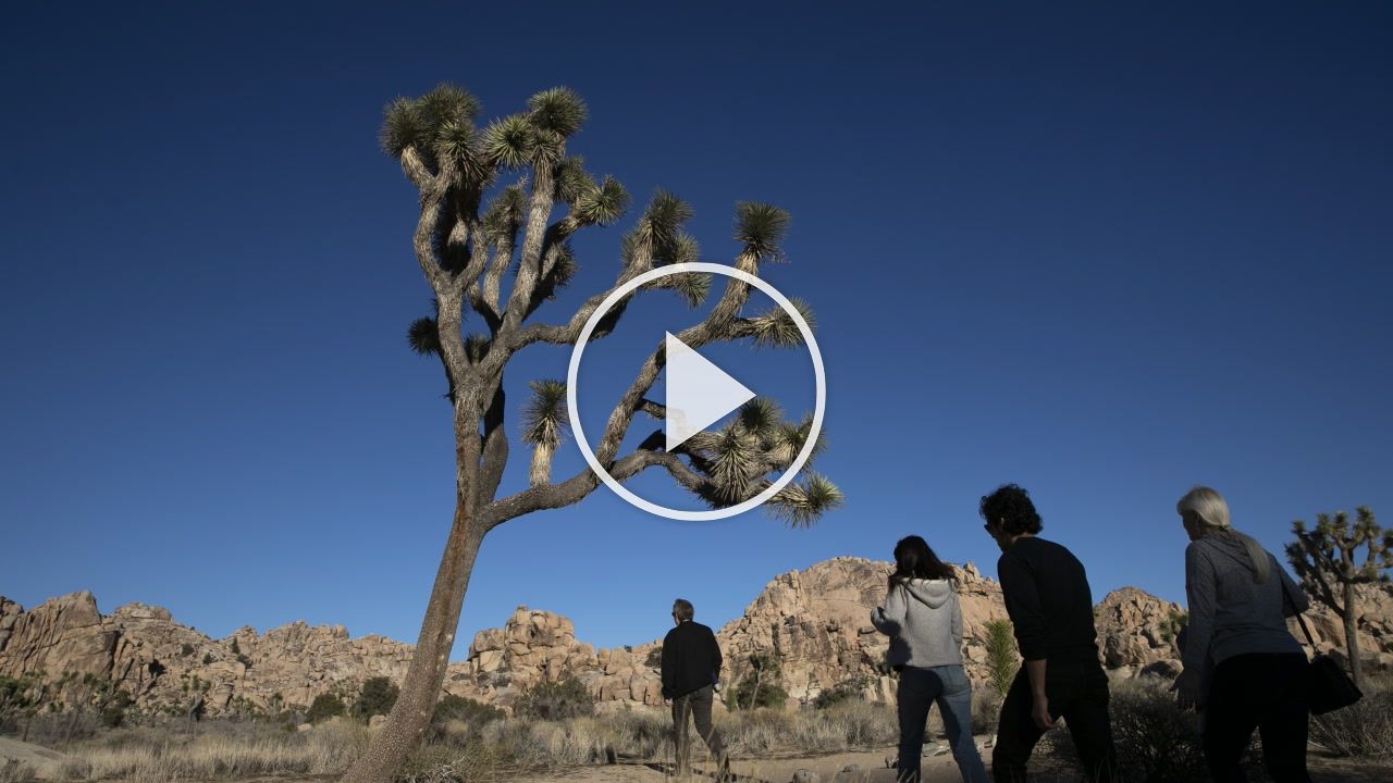 Most U.S. national parks impacted by air pollution