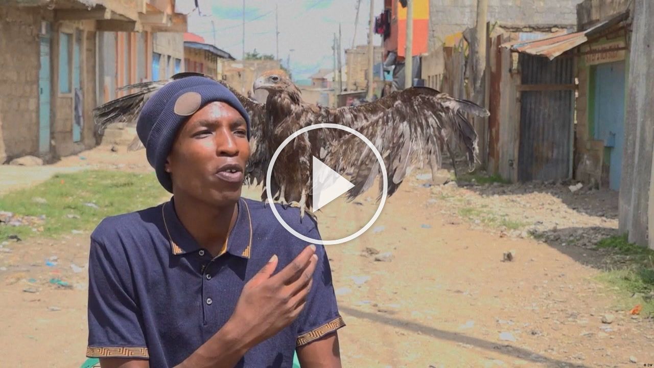 One man's mission to save injured birds in Nairobi