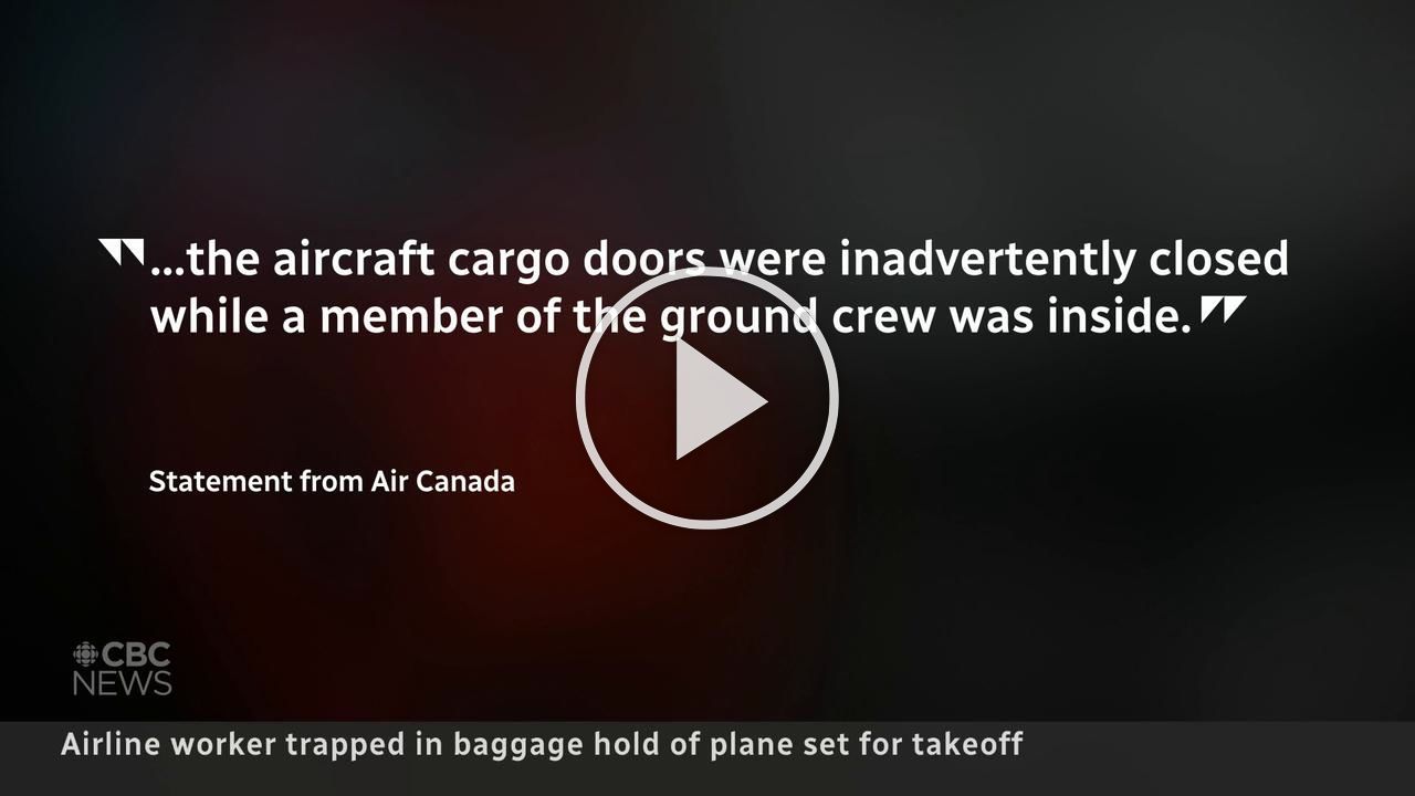 Passengers hear screaming from trapped baggage worker before takeoff