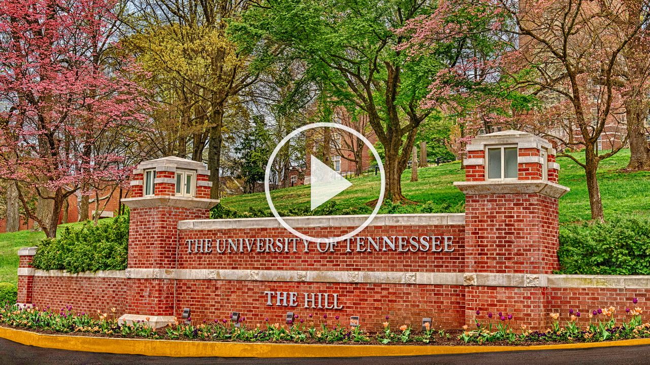 Professor suing to keep job after being fired over Charlie Kirk post