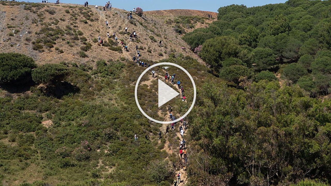 Rare bird species thrives in Morocco after successful breeding program