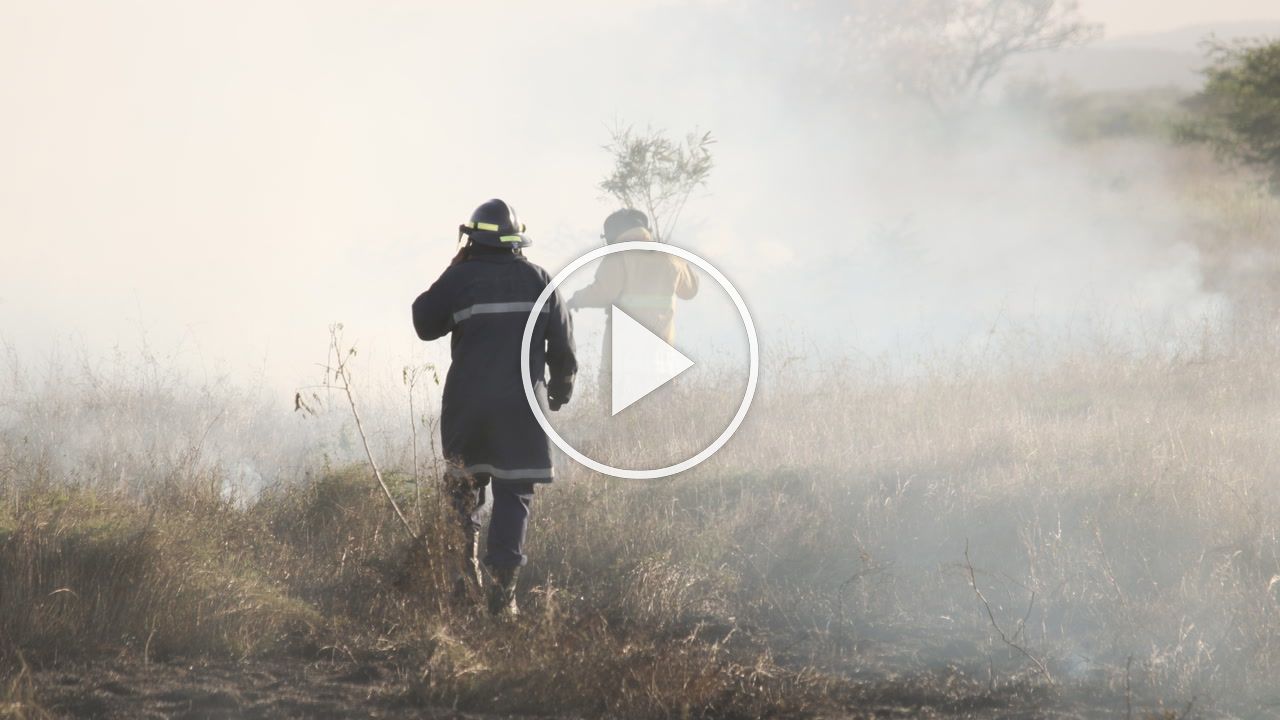 State of Disaster declared as bushfires rage across Victoria