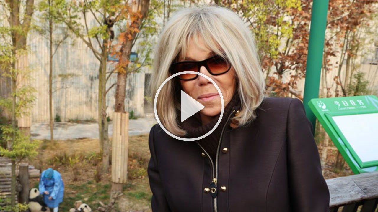 What happened in the Brigitte Macron cyber-bullying case | LeadStory