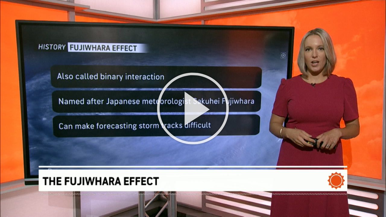The Fujiwhara Effect