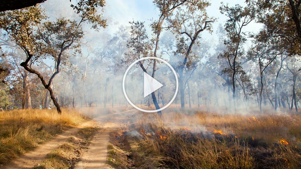 Victoria’s bushfire danger continues as residents confront lost homes
