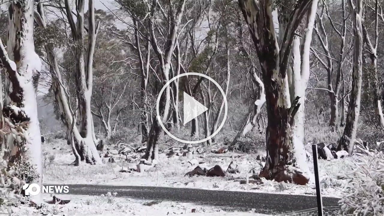 Rare white Christmas in Tasmania as snow blankets parts of state